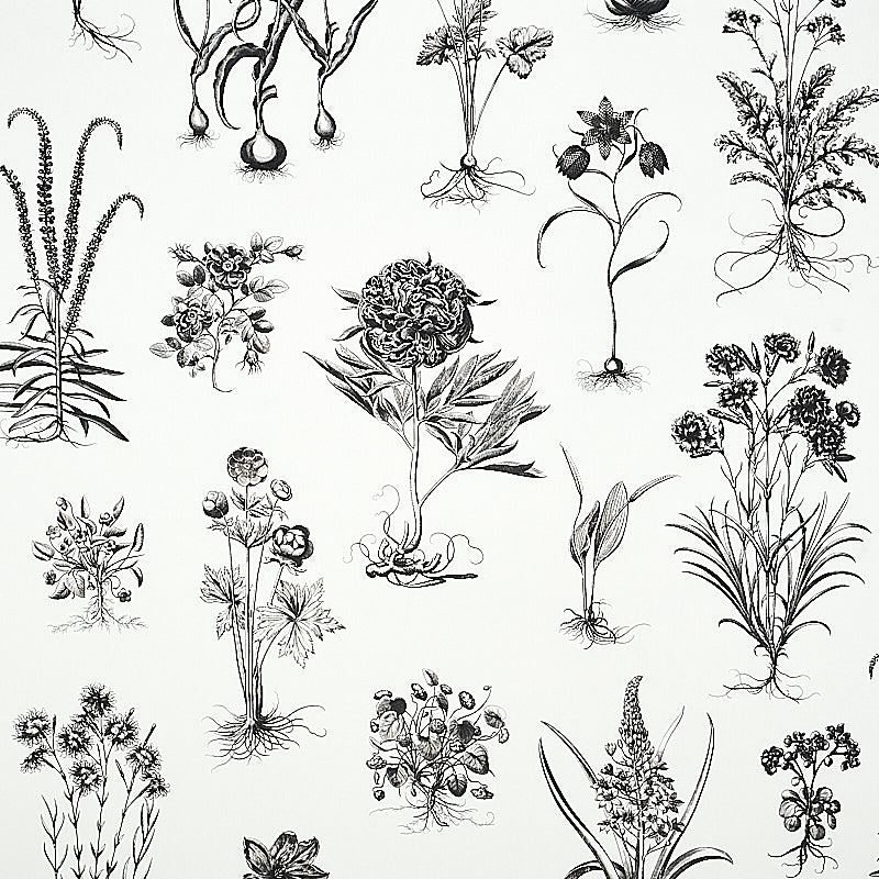 Schumacher Cabot Botanical Large Ivory 5010640 Sample | 40% Off (Samples)