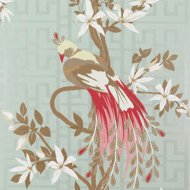 Nina Campbell Paradiso 1 NCW4030-01 Sample | 40% Off (Samples)