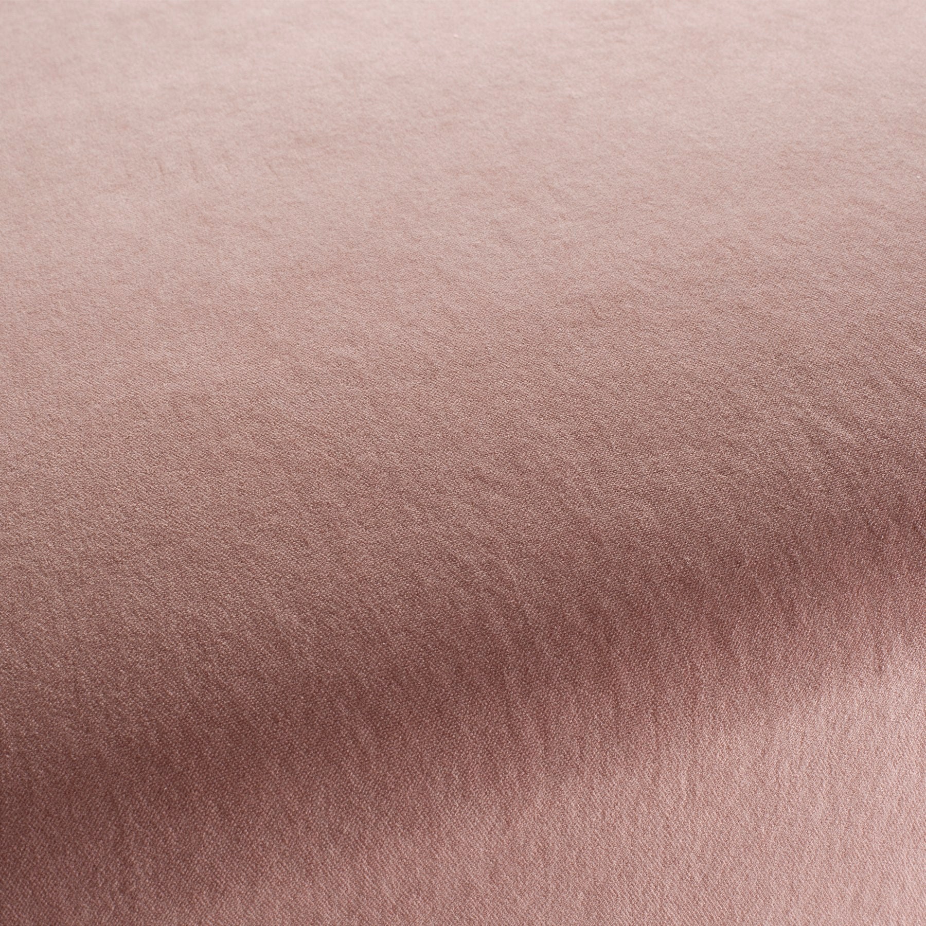 Chivasso Frozen 063 CH2928/063 Fabric | 40% Off (Samples)
