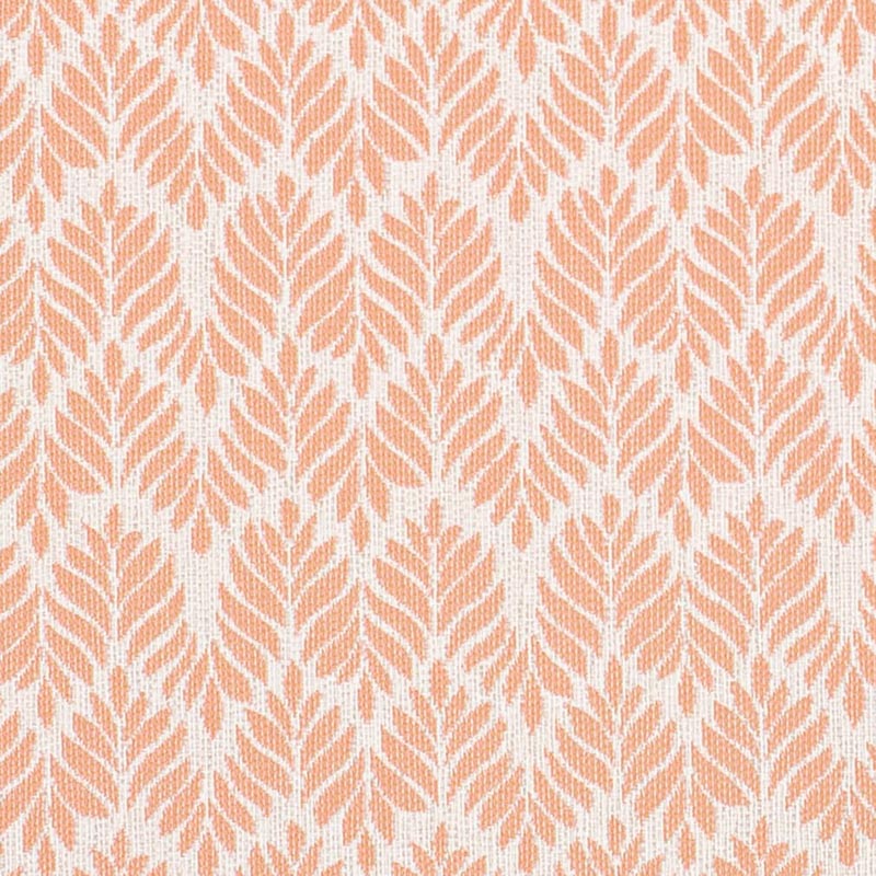 Charlotte D4311 Shell Fabric | 40% Off (Samples)