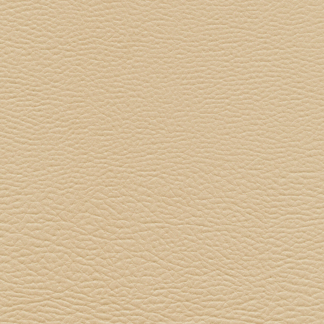 Kravet Design MASHAK Mashak-11 MASHAK.11.0 Fabric | 40% Off (Samples)