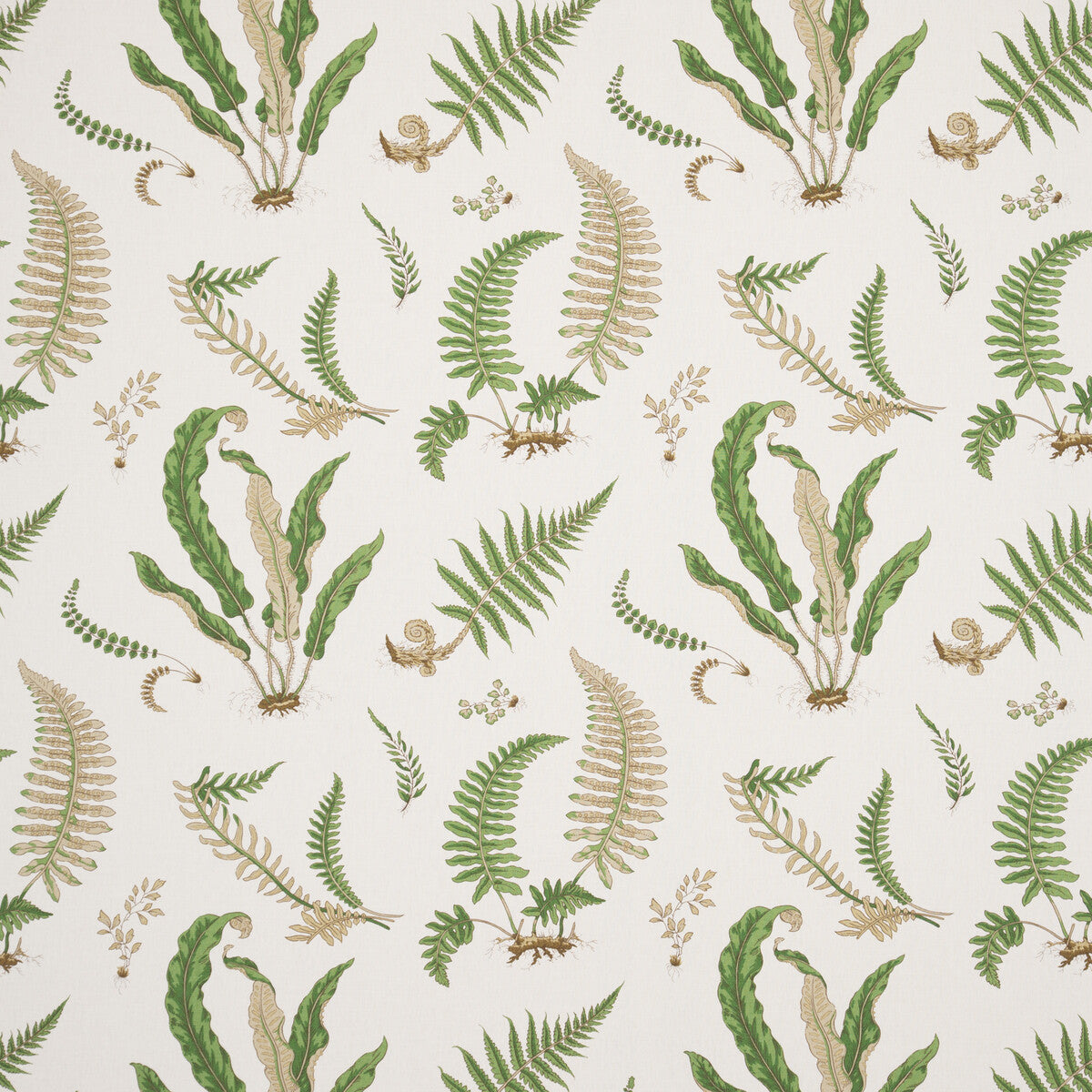 GP & J Baker Ferns Linen Stone/Green R1324.01.0 Fabric | 40% Off (Samples)