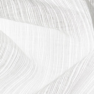 Scalamandre Celestial Sheer Off White SC272730001 Fabric | 40% Off ...
