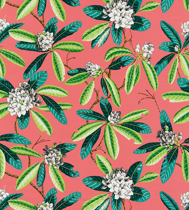 Scalamandre Rhododendron - Outdoor Flamingo SC16454M0005 Fabric | 40% ...