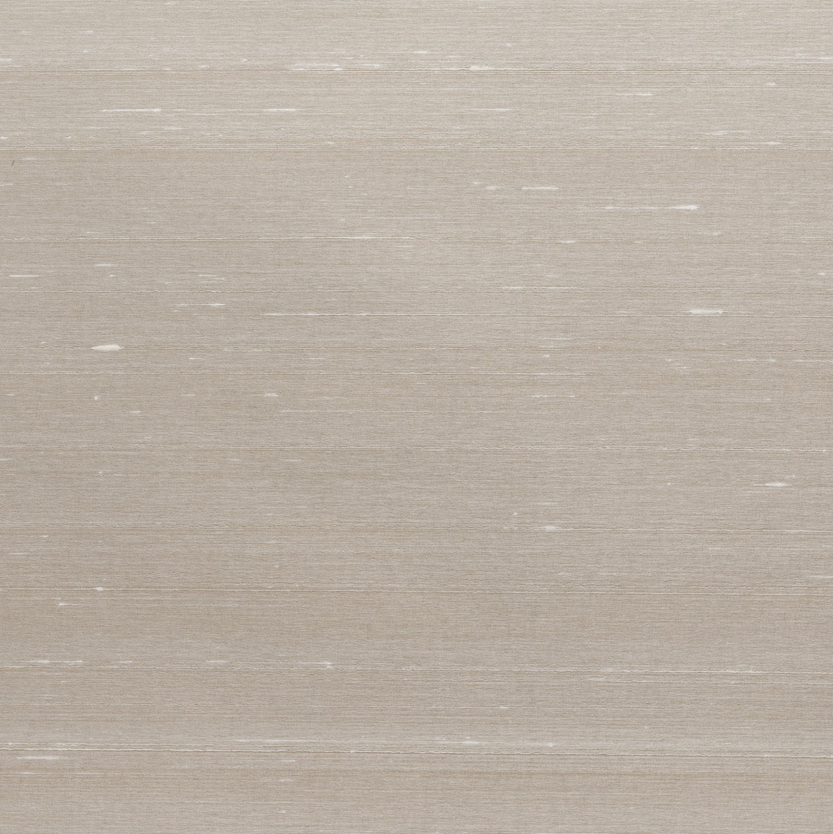 Holly Hunt Walls Veiled Silk Latte W2100/06 Sample | 40% Off (Samples)