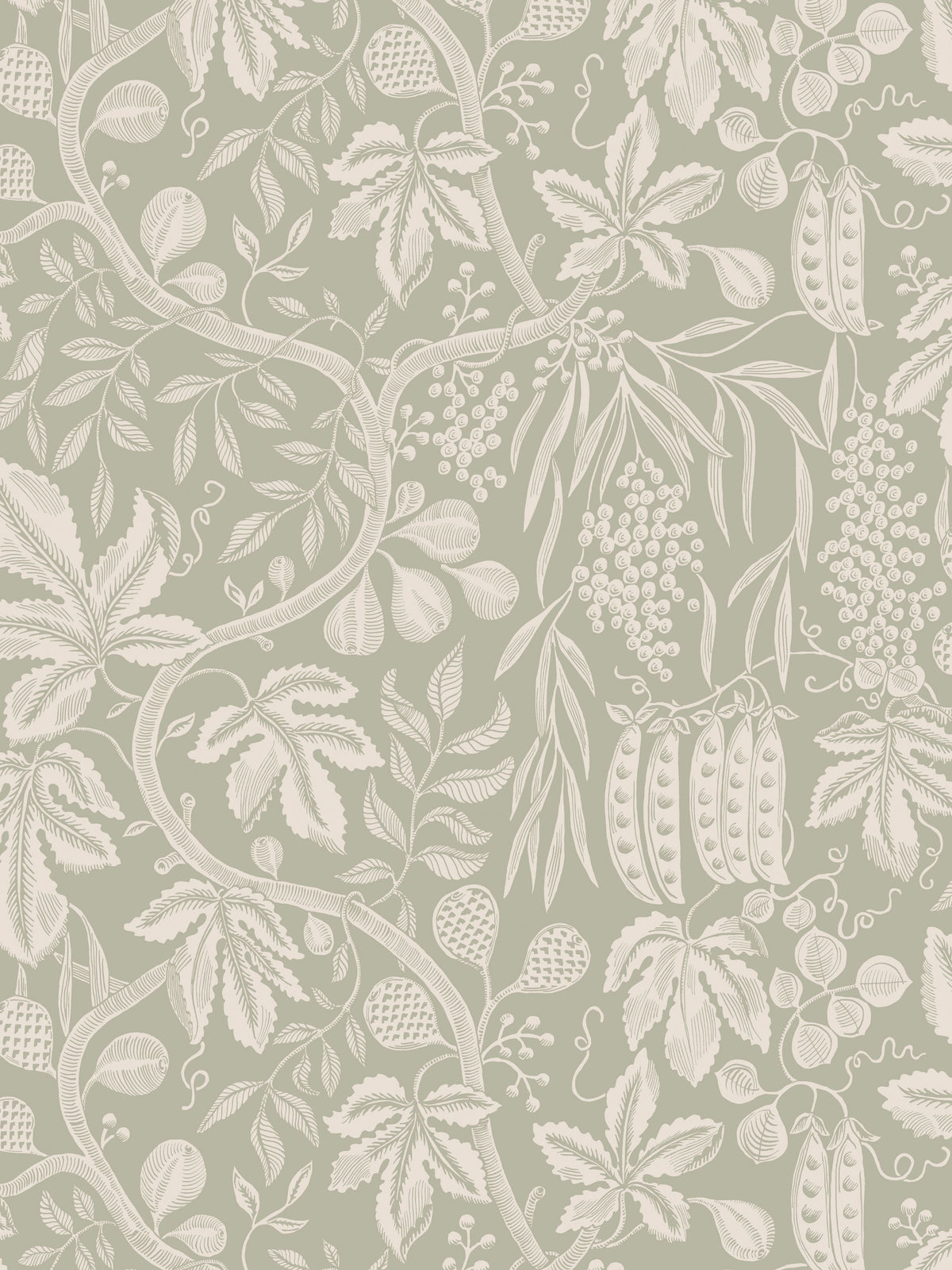 Scalamandre Fig Garden Garden Green WSBFIG0259 Sample | 40% Off (Samples)