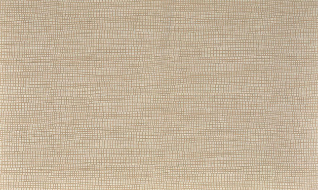 Pierre Frey Niamh Nacre FP032001 Sample | 40% Off (Samples)