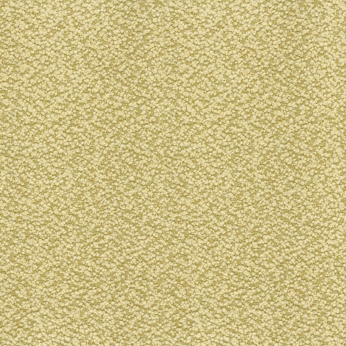 Nina Campbell Cardot 4 NCF4451-04 Sample | 40% Off (Samples)
