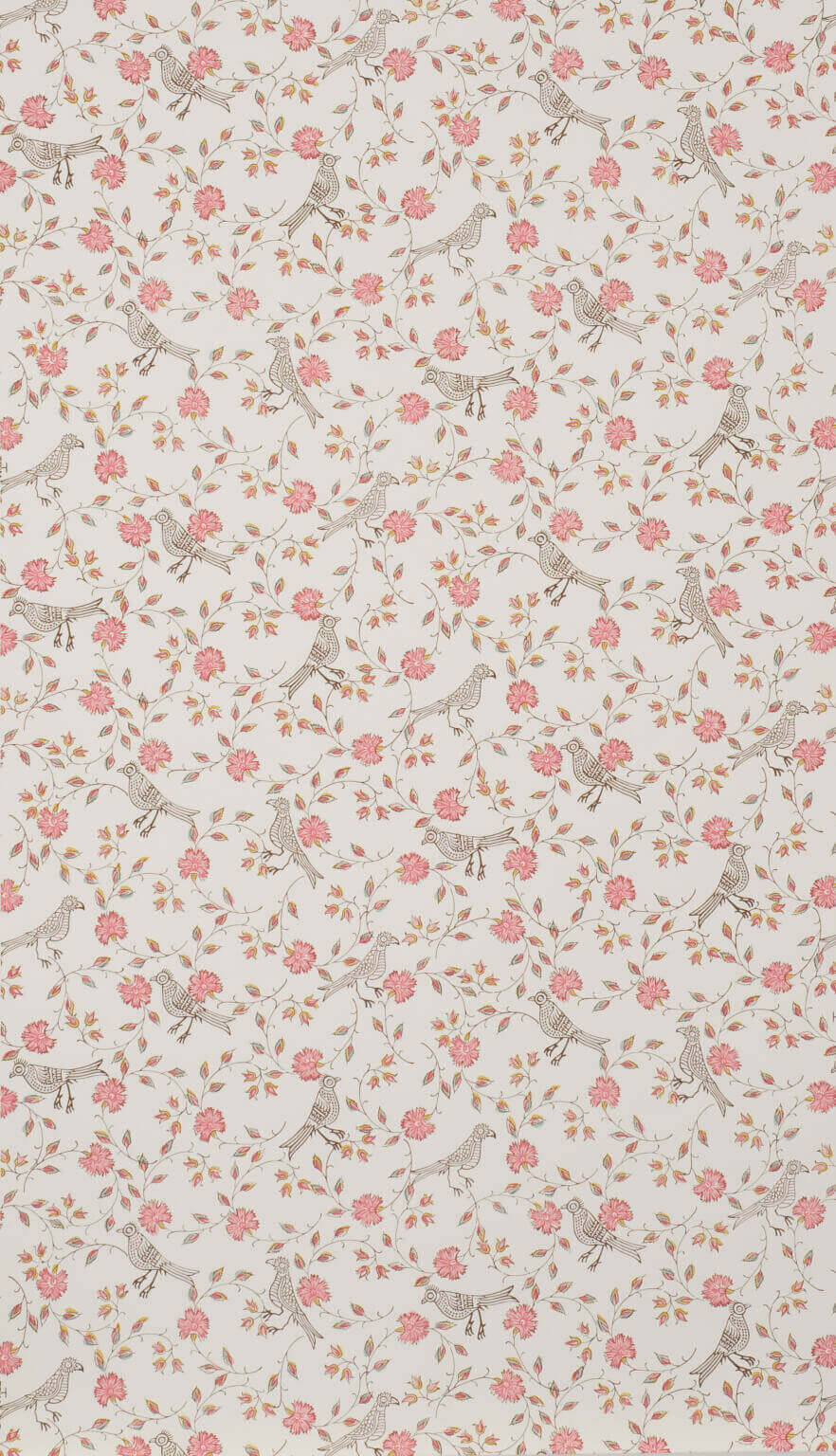 Braquenie Bengali Pink BP203003 Sample | 40% Off (Samples)