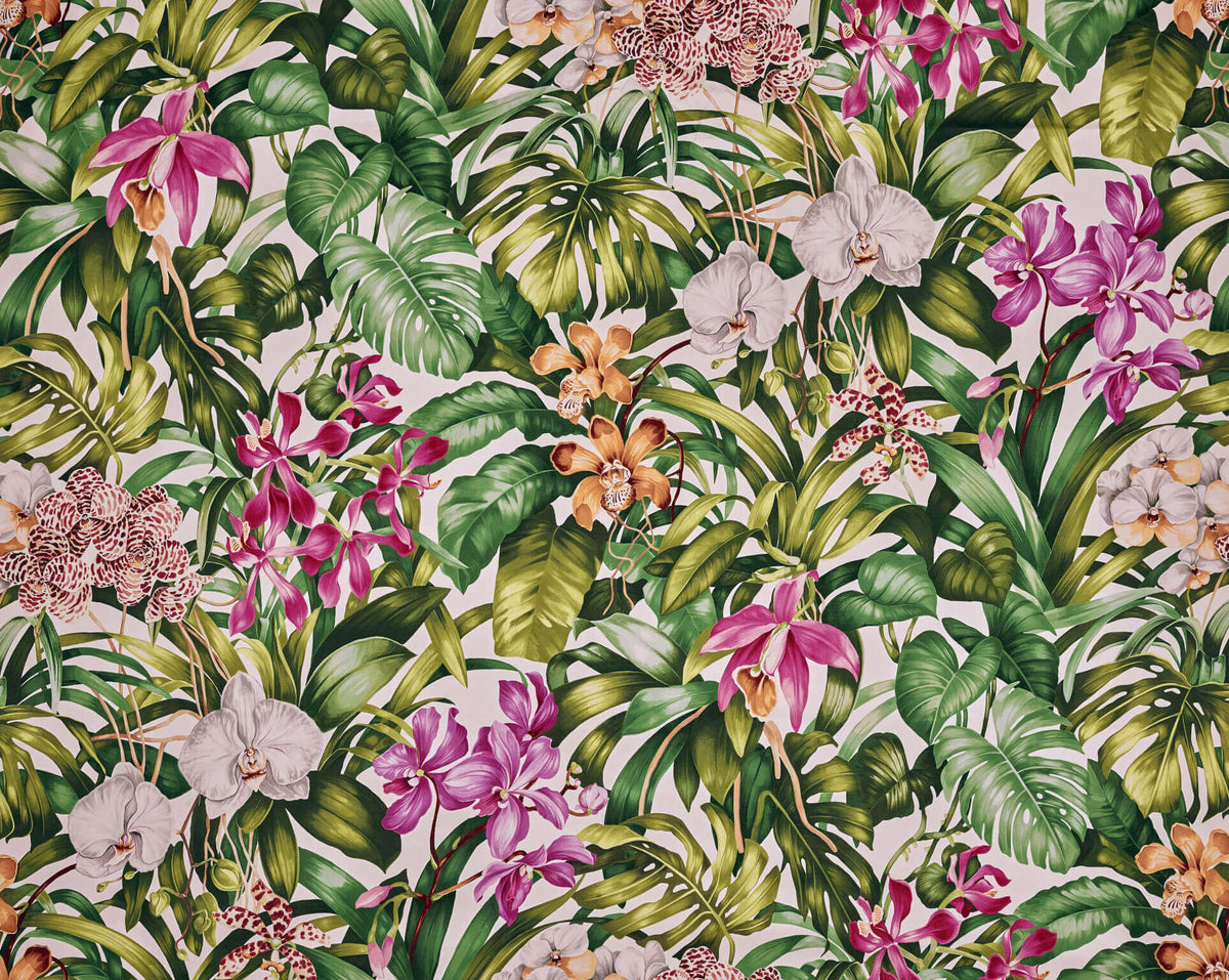 Pierre Frey Jardin Botanique Jour F3389001 Fabric | 40% Off (Samples)