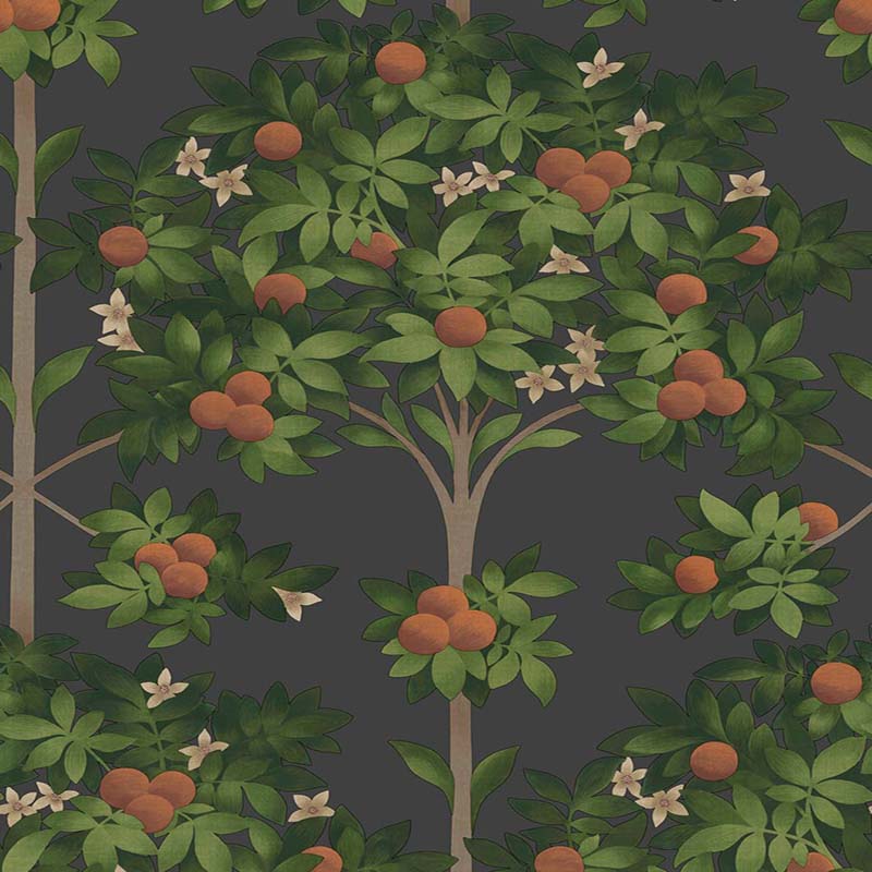 Cole & Son Orange Blossom Orange & Spring Green/Black 117/1003.CS.0 ...