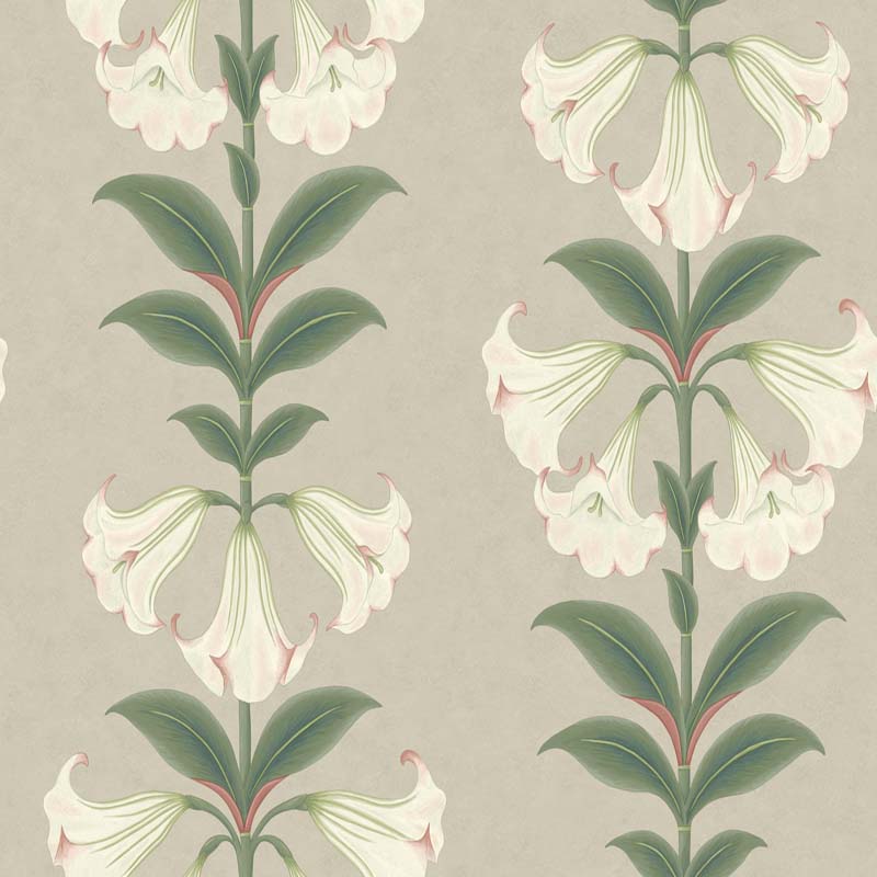 Cole & Son Angels Trumpet Chalk & Sage On Stone 117/3007.CS.0 Wallpaper ...