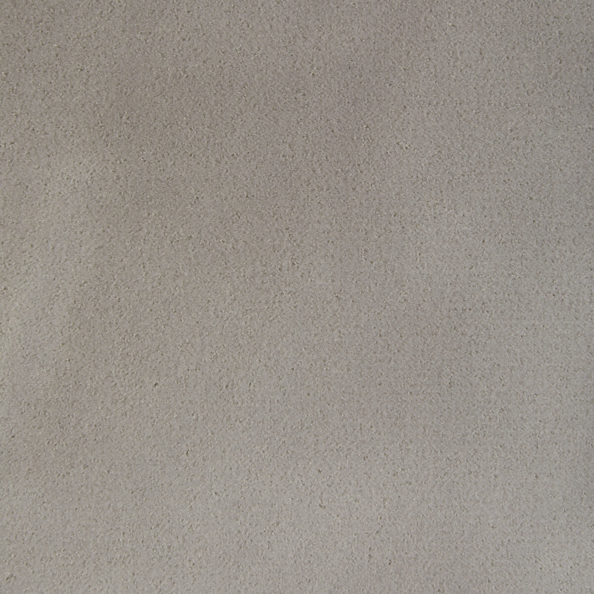 Kravet Contract Fomo Bramble 36543.1101.0 Fabric | 40% Off (Samples)