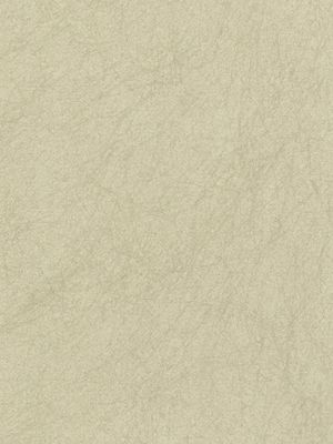 Osborne & Little Quartz 28 CW5410-28 Wallpaper | 40% Off (Samples)