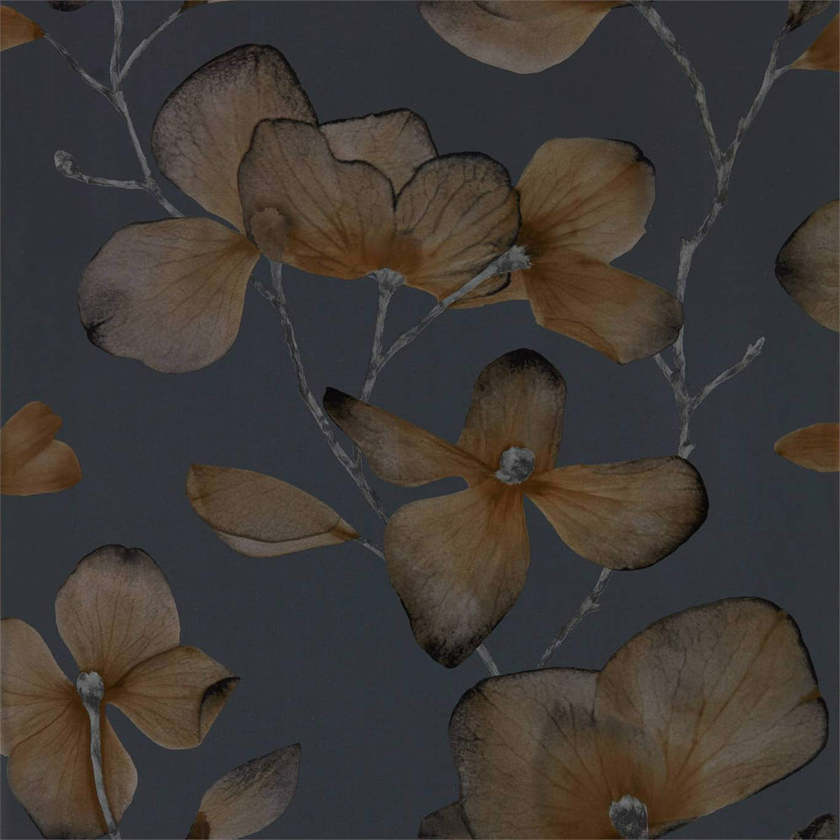 Harlequin Kienze Graphite/Gilver HMWF111959 Wallpaper | 40% Off (Samples)