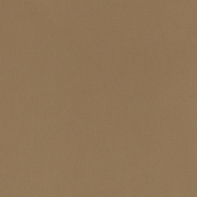 Charlotte V782 Hazelnut Fabric | 40% Off (Samples)