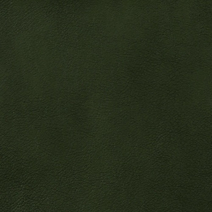 Jasper Derby Emerald J102-13 Fabric | 40% Off (Samples)