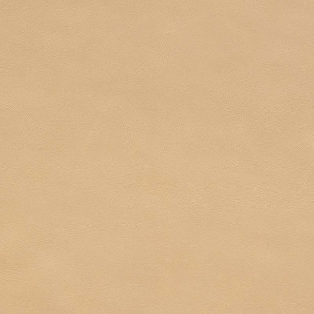 Jasper Evora Mink J105-06 Fabric | 40% Off (Samples)