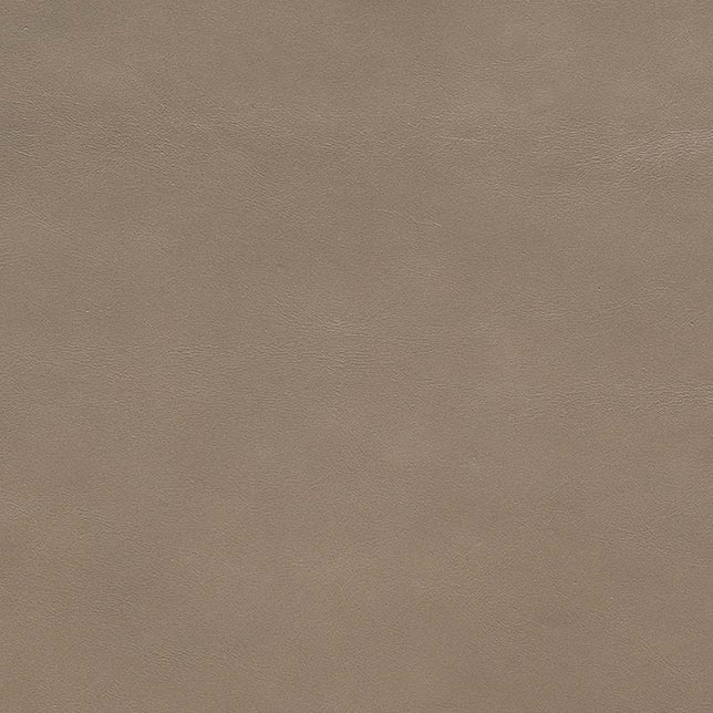 Jasper Evora Mink J105-06 Fabric | 40% Off (Samples)